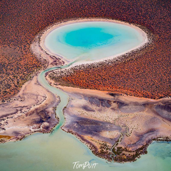 Shop Into the Blue Print & Wall Art - Tom Putt - TOM PUTT